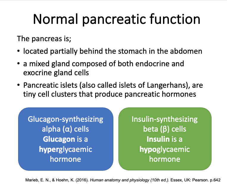 Type 1 diabetes lecture – H5P.com